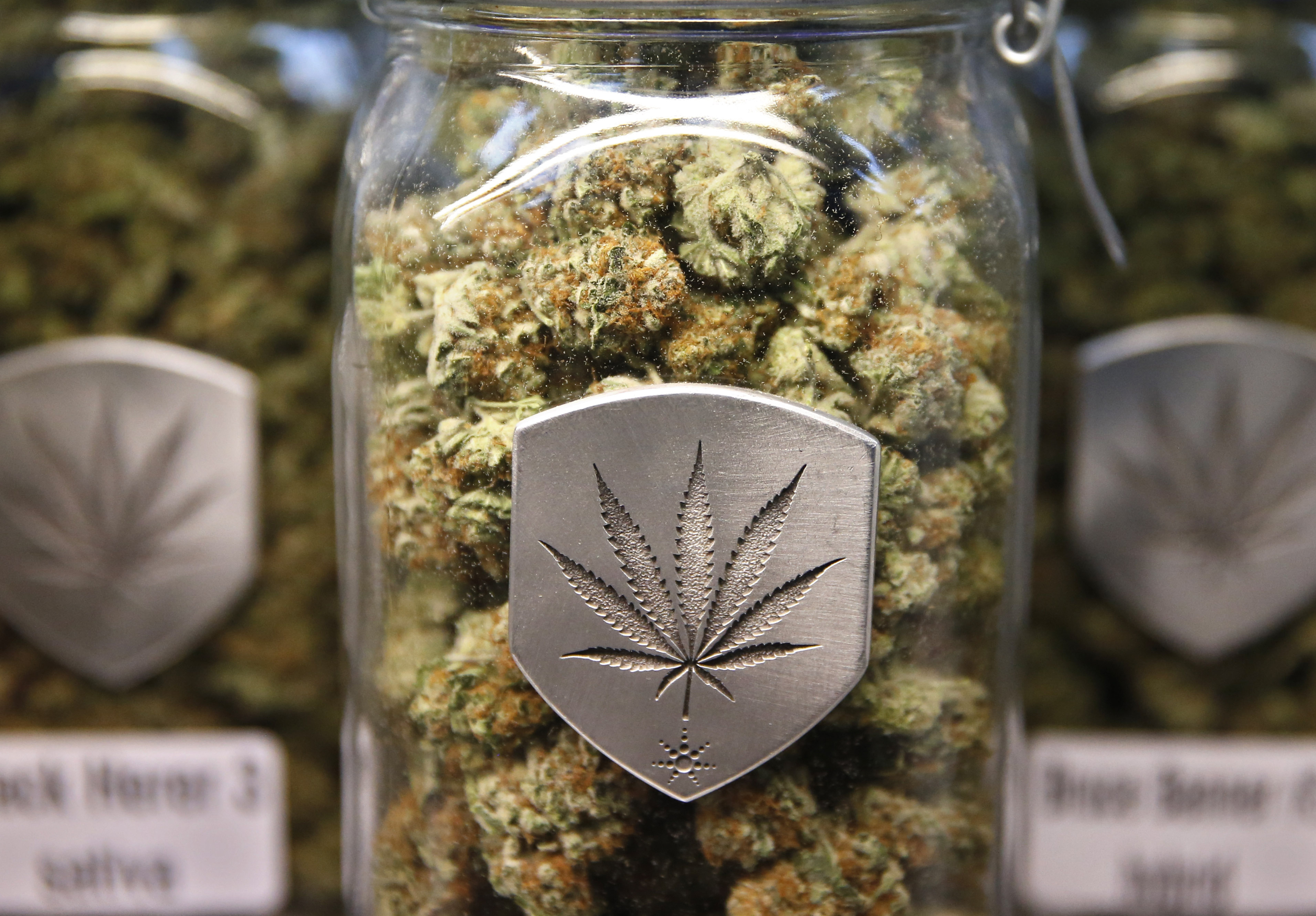 Illinois House passes marijuana decriminalization bill
