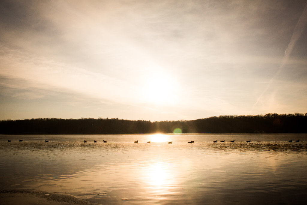 Forgotten Illinois Decatur: The Soy City's search for its comeback ...